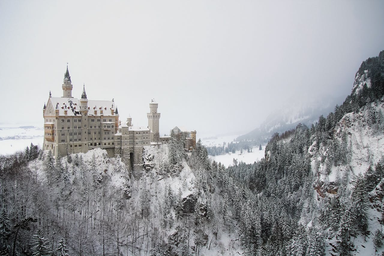 A Secret Palace Inside NEOM Sparks Outrage Over Saudi Arabia’s $2 ...